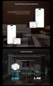Dual Relay Module T2 - Aqara